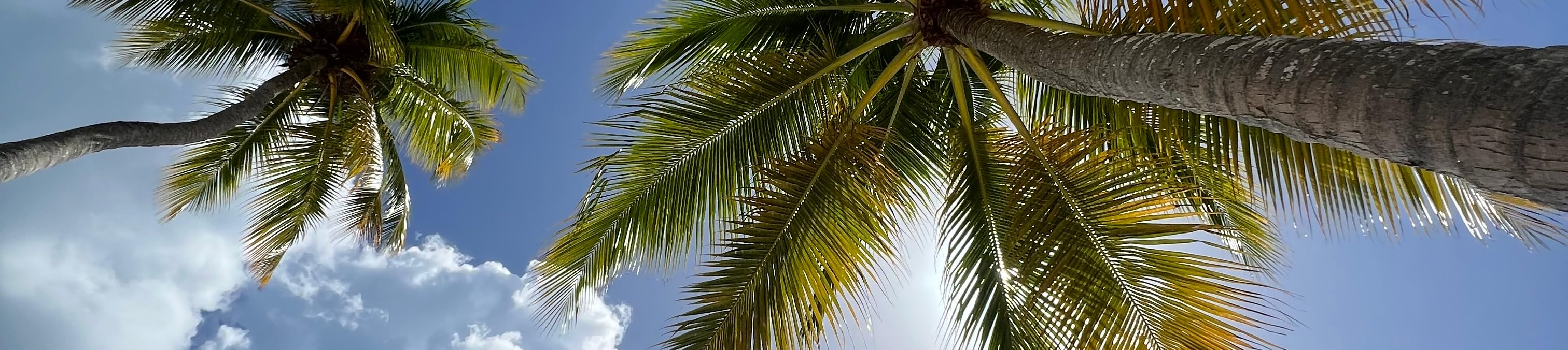 Ana María Garcia's Amazon Page