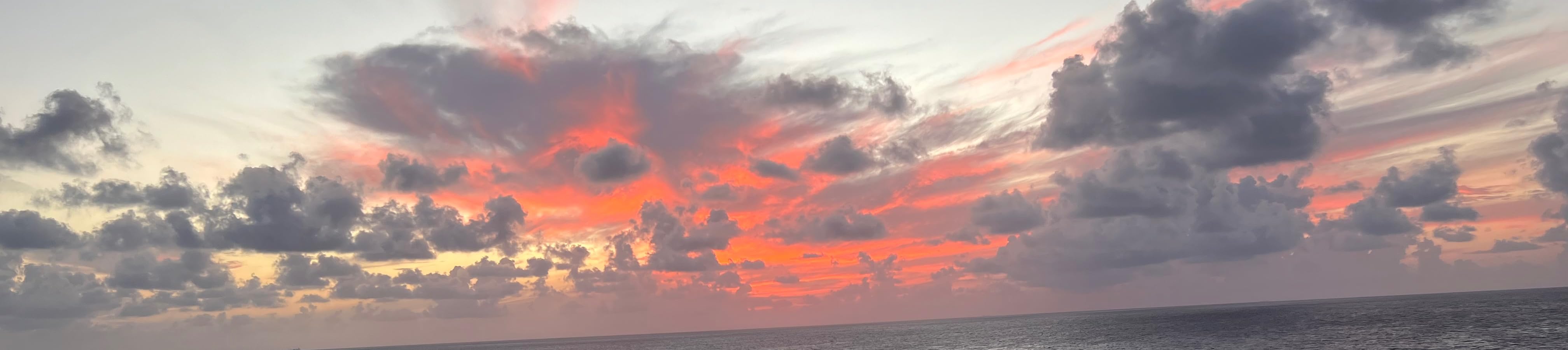 Liz puckett's Amazon Page