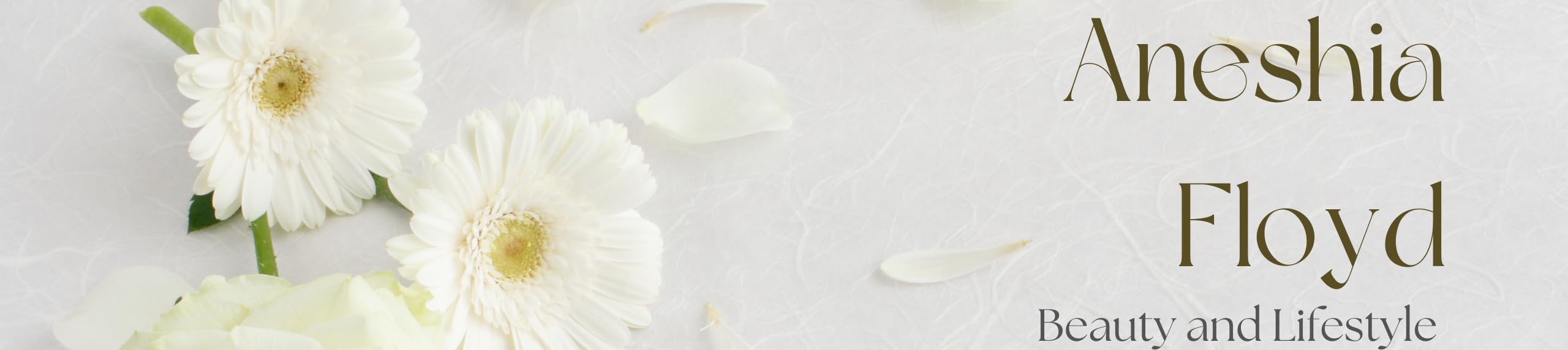 Aneshia Floyd's Amazon Page