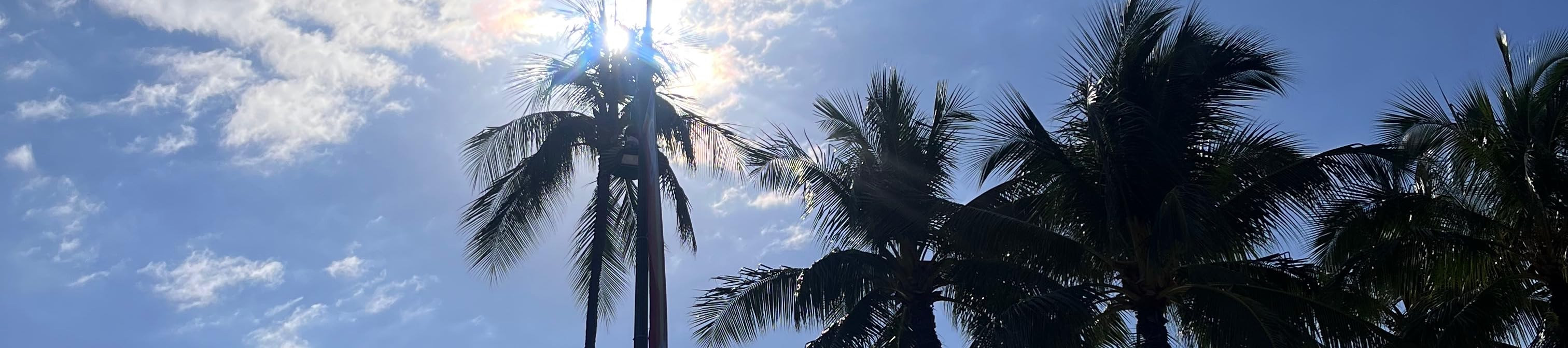 Addison Wright's Amazon Page