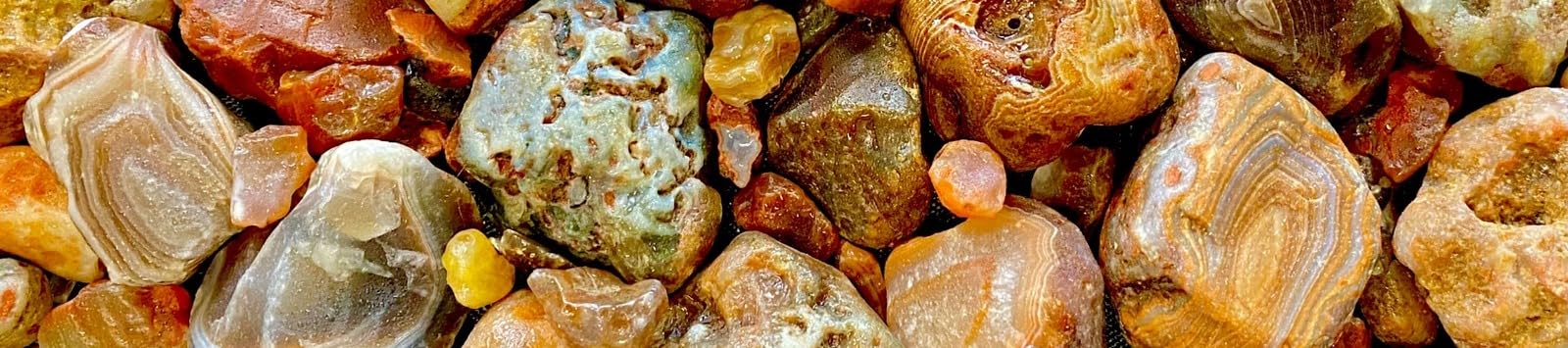 Agate Ariel's Amazon Page