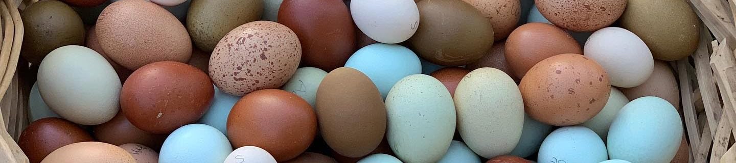 Alchemist Farm's Amazon Page