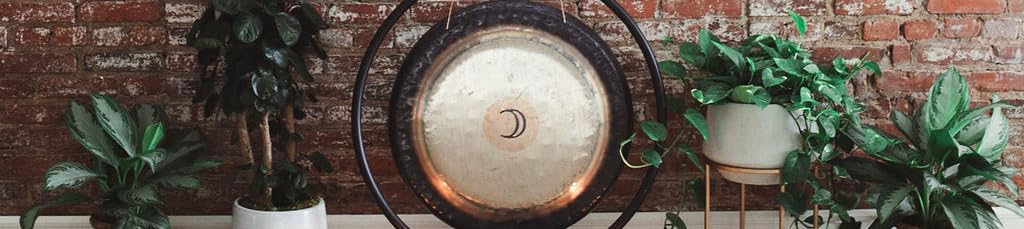 Alee Link's Amazon Page