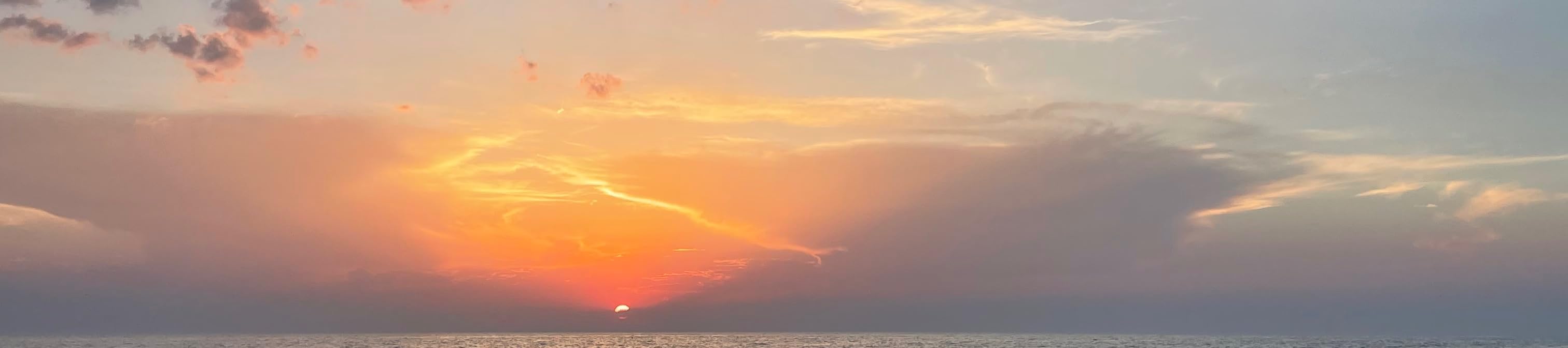 Ally Collins's Amazon Page