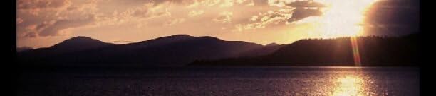 Angela M DiLoreto's Amazon Page