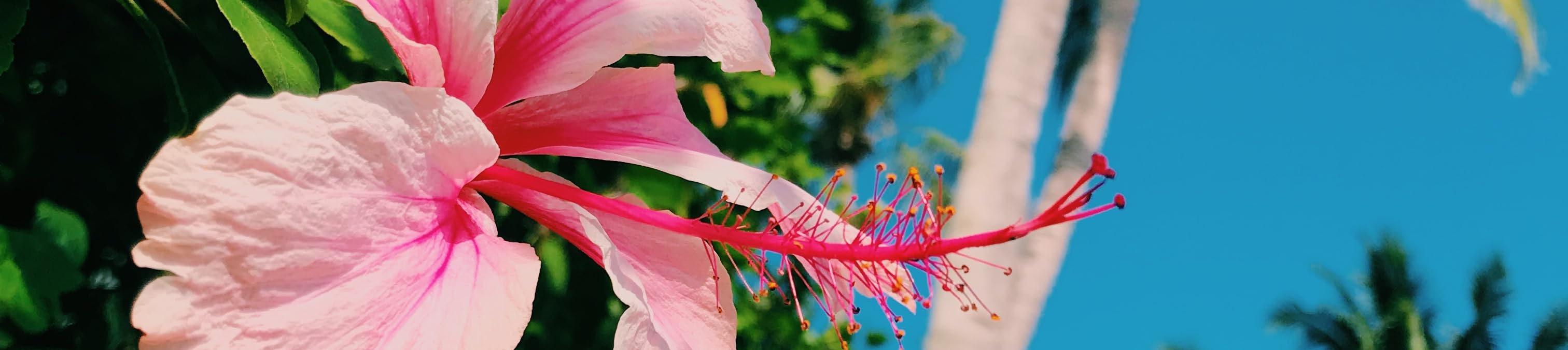 Anna Keefer's Amazon Page