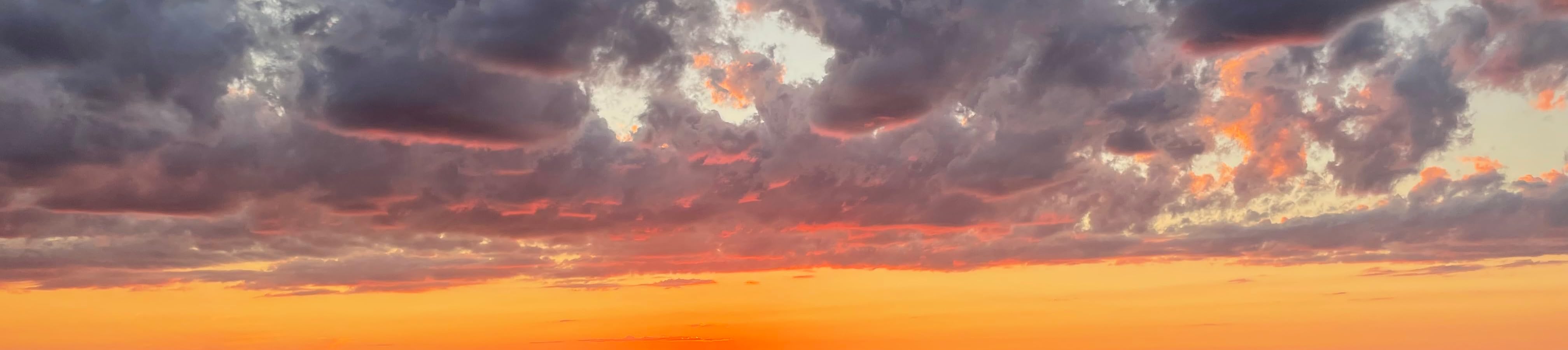 Anna Kolb's Amazon Page