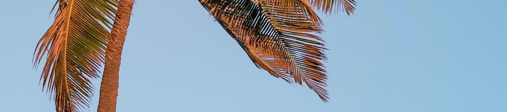 Ausra Dunning's Amazon Page