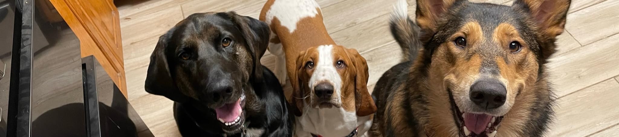 Bailee Gilbert's Amazon Page