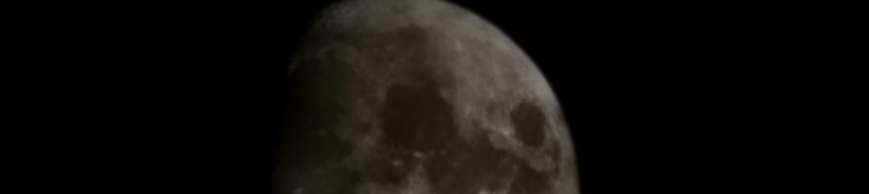 The Bailey Lavender's Amazon Page