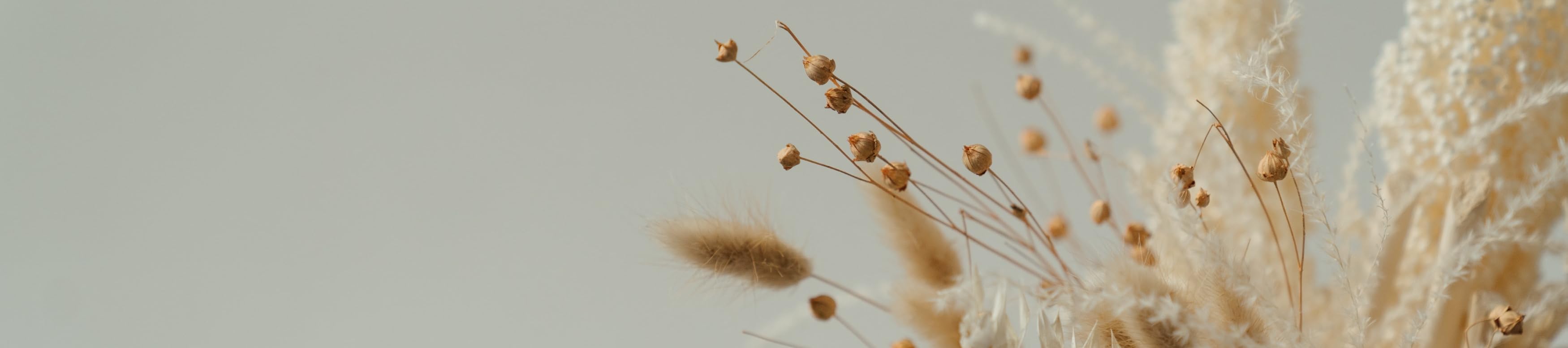 Brandy Smith's Amazon Page