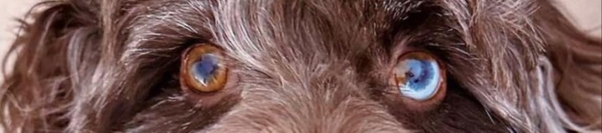 Bre Socker's Amazon Page