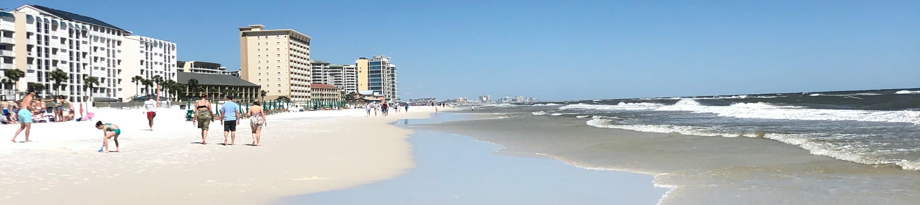 Caely Kristy's Amazon Page