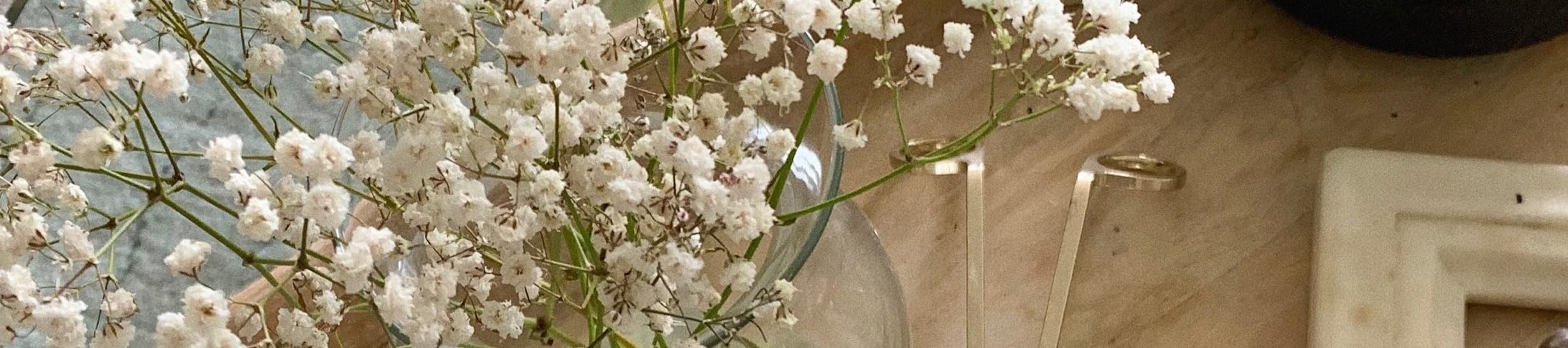 Caitlin Sauer's Amazon Page