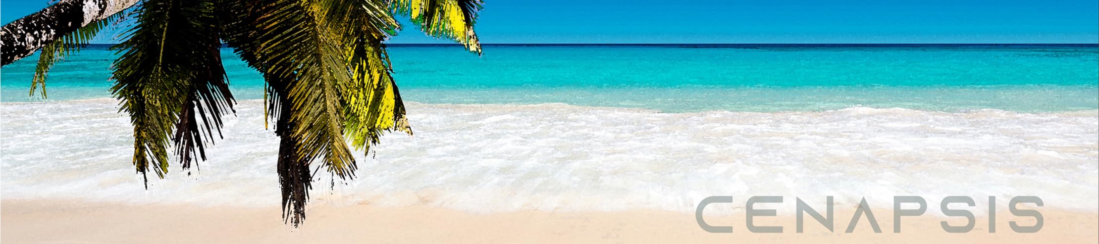 Dennis Lee Nowicki/Cenapsis's Amazon Page