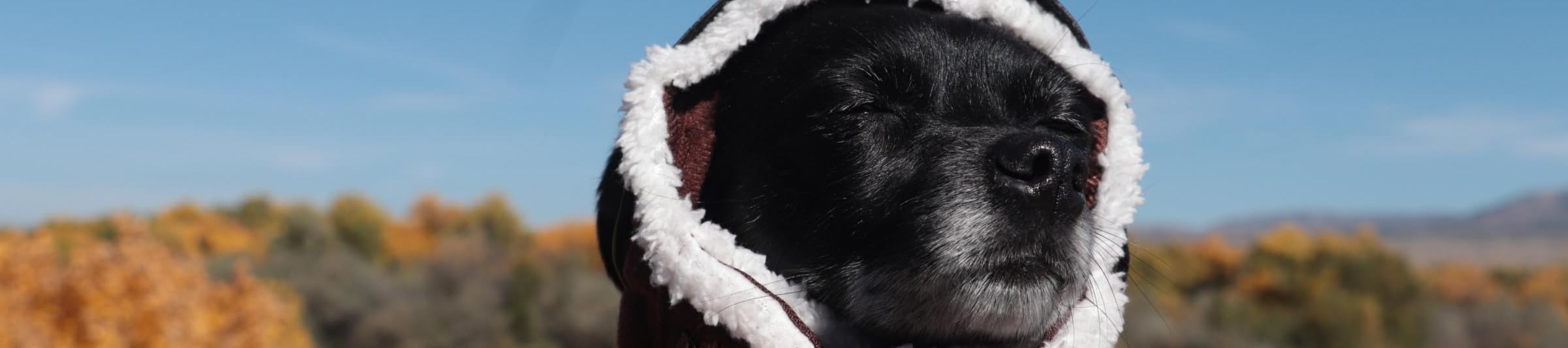 CheapGeek and CreepGeeks Amazon Page's Amazon Page