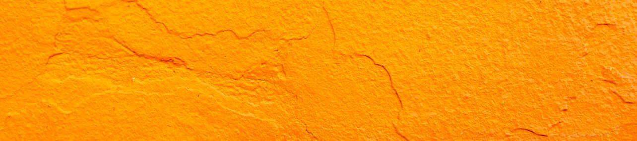 Cianna Gosteli's Amazon Page