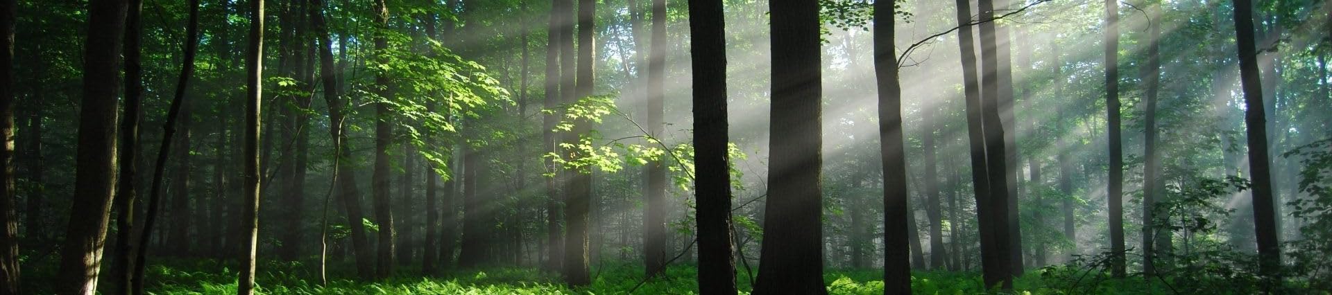 Clueless Bushcraft's Amazon Page