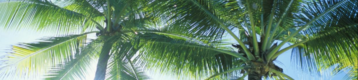 Danielle Shapiro's Amazon Page