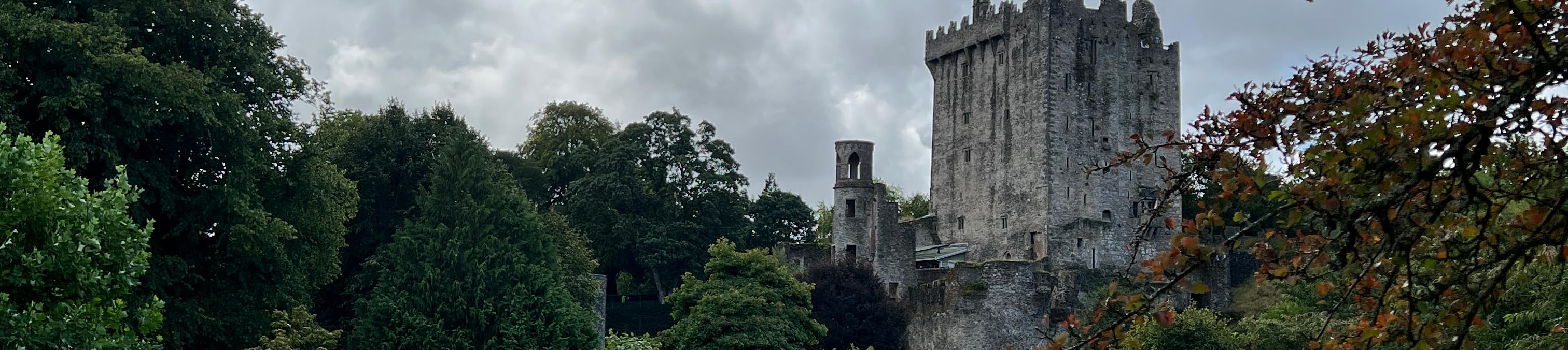 Brynn C's Amazon Page