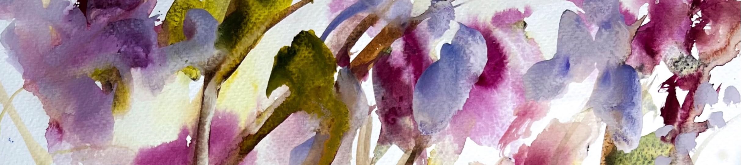 DEBRA LYN ROSENBACH's Amazon Page