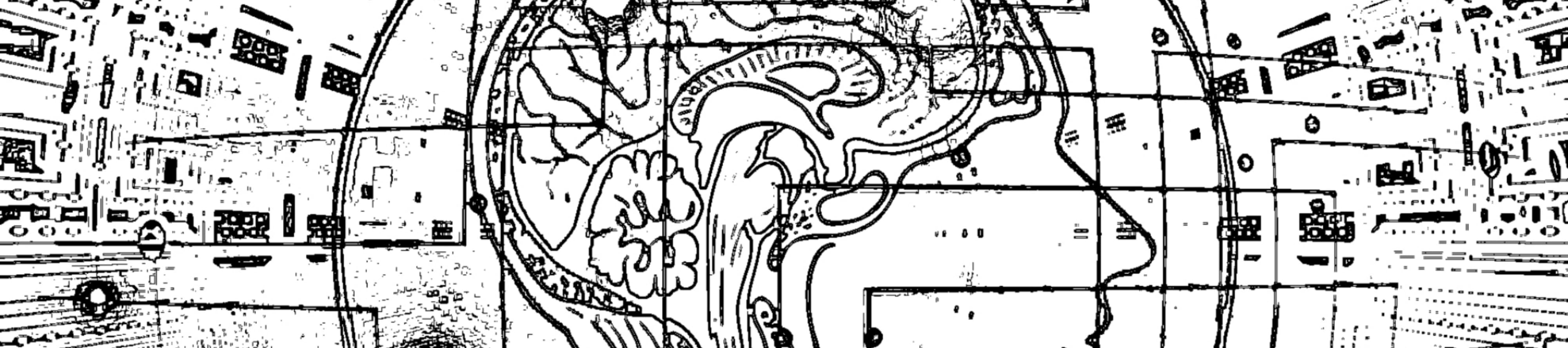 deeplizard's Amazon Page