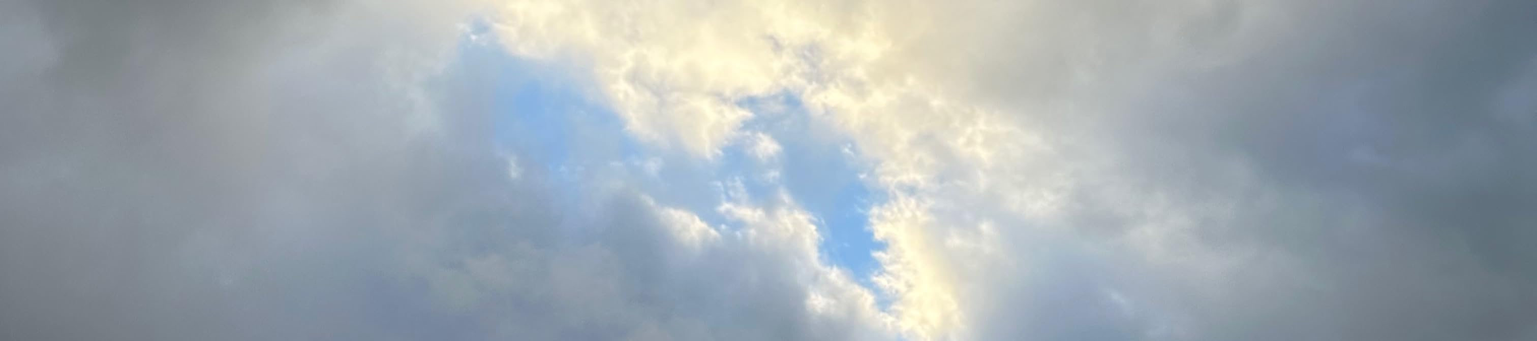 Dominique Moran's Amazon Page