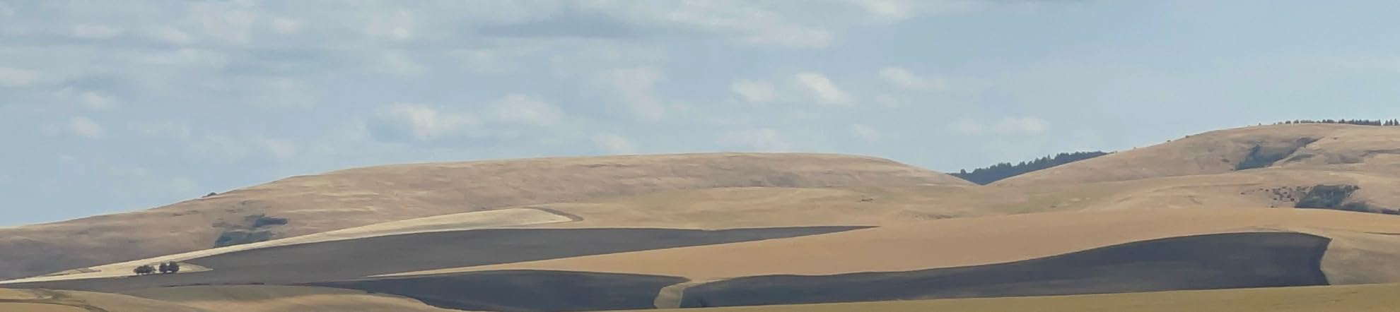 Edie Wild's Amazon Page