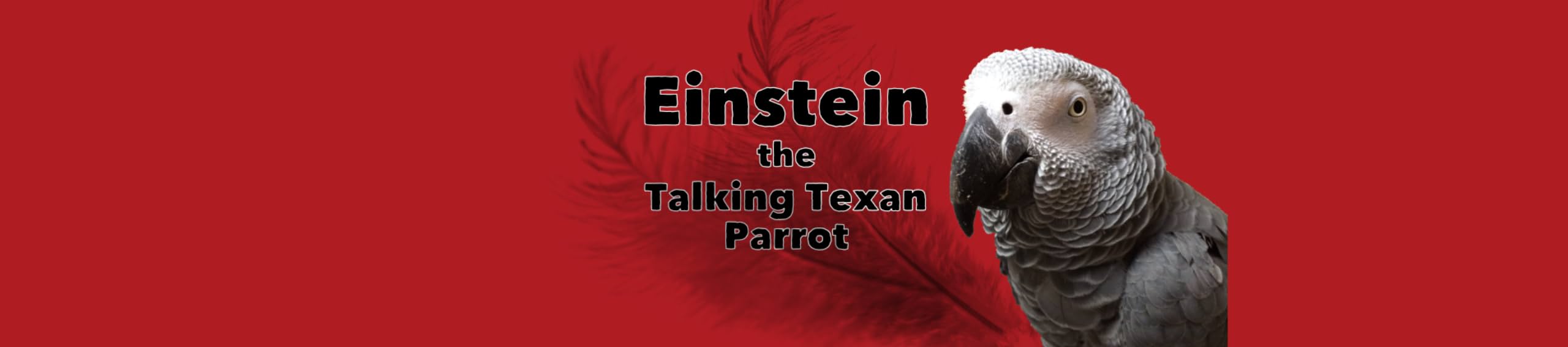 Einstein Parrot's Amazon Page