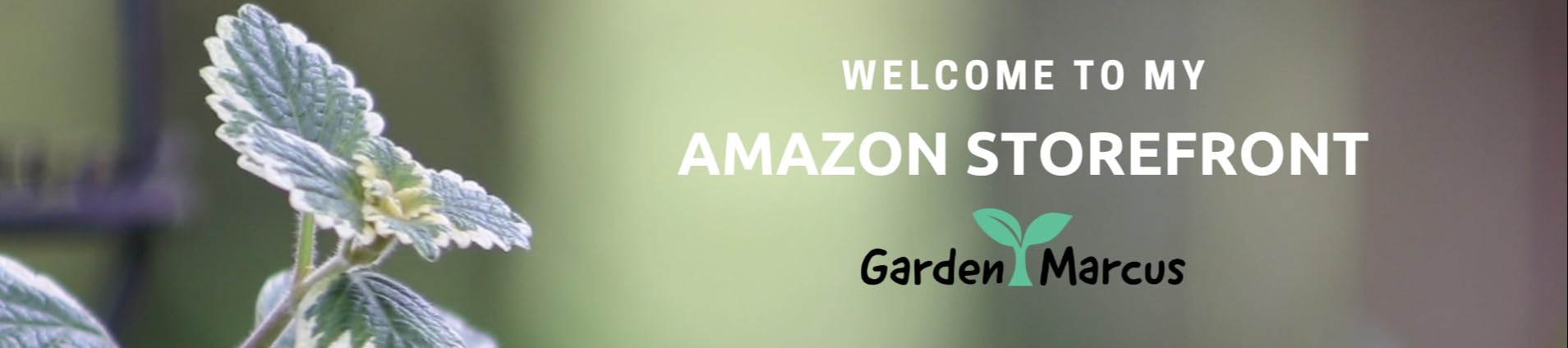 Garden Marcus's Amazon Page