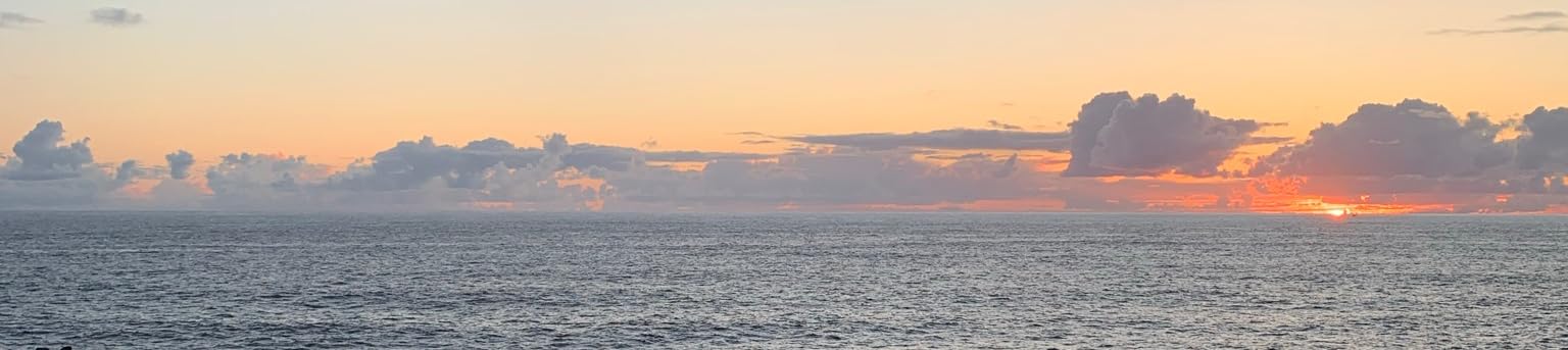 Hanna Rice's Amazon Page