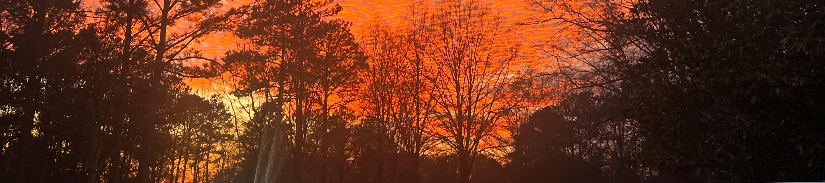 Pashen's Amazon Page