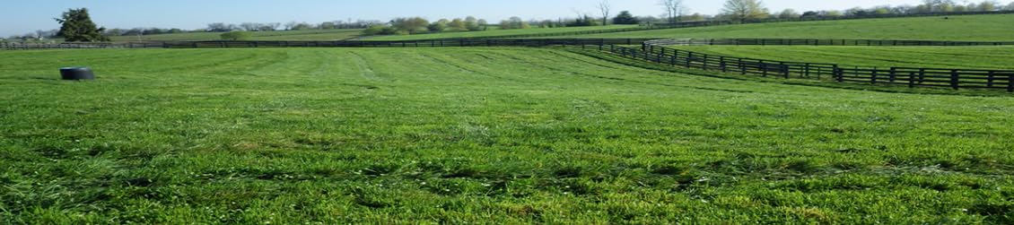 Hamiltonville Farm's Amazon Page