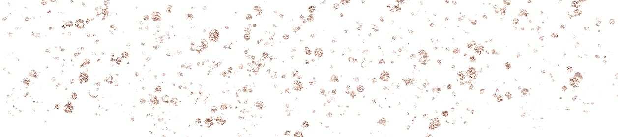 Chante Fox's Amazon Page