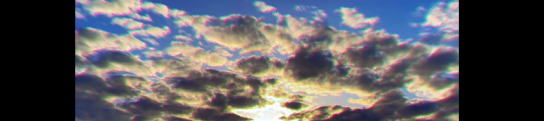 Chelsea.Evee's Amazon Page