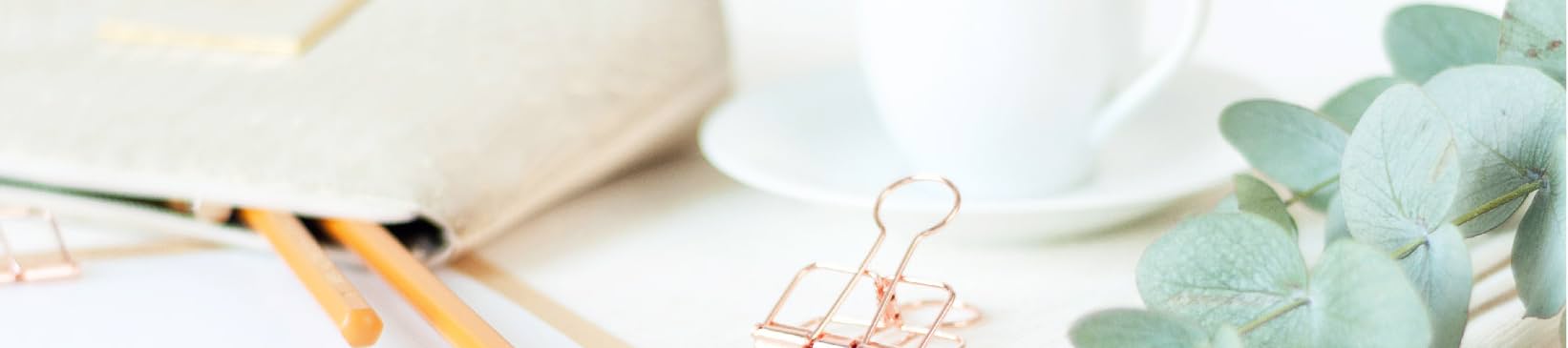 Laura Busche's Amazon Page