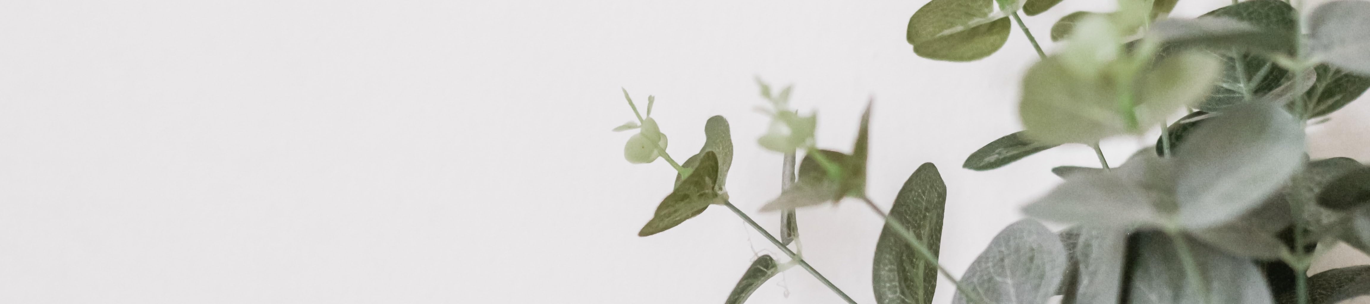 Dr. Cerra Kelly's Amazon Page