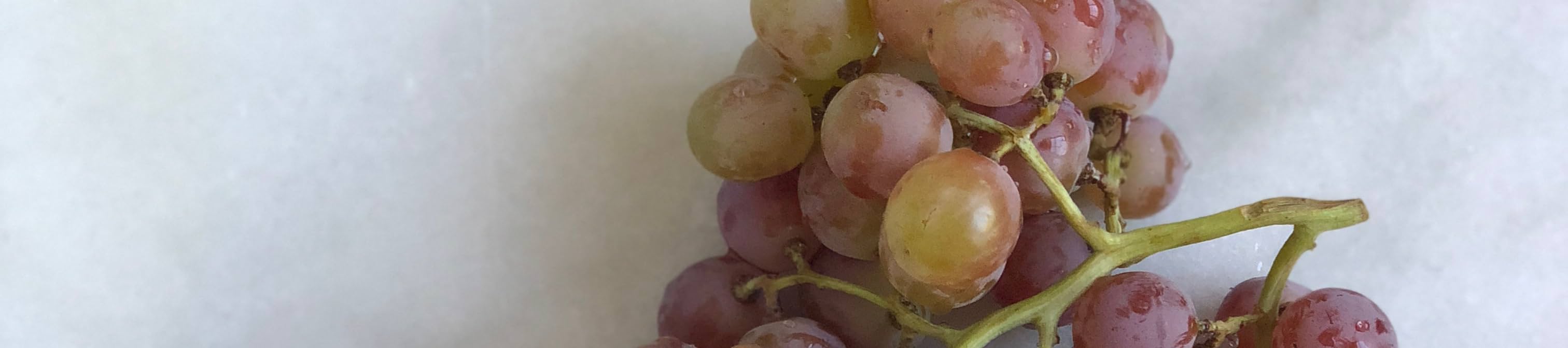 The Capsule Kitchen // Mimi Newman's Amazon Page