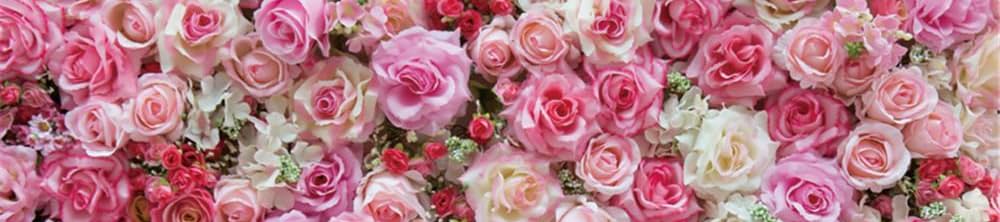 Princess Jonalyn's Shop's Amazon Page