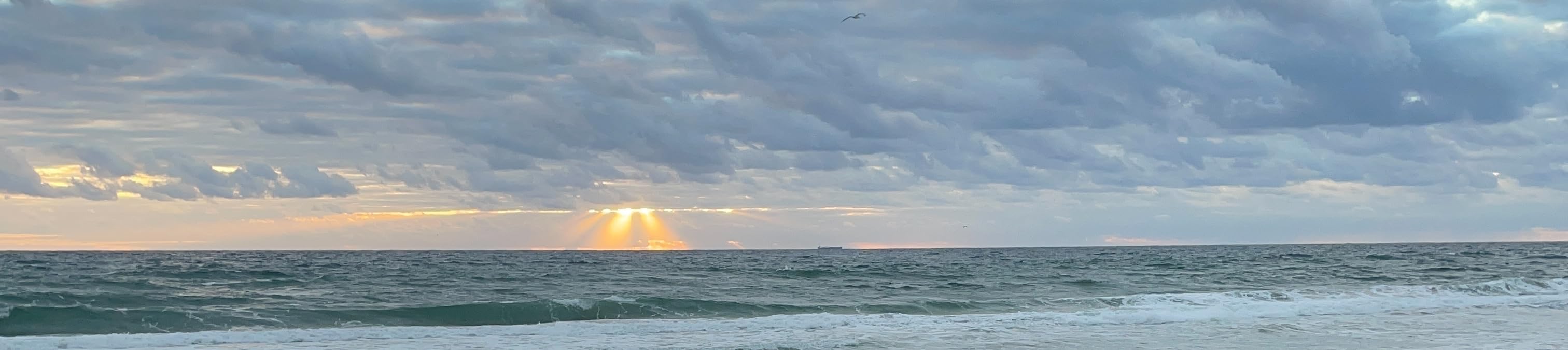 Camy Clark's Amazon Page