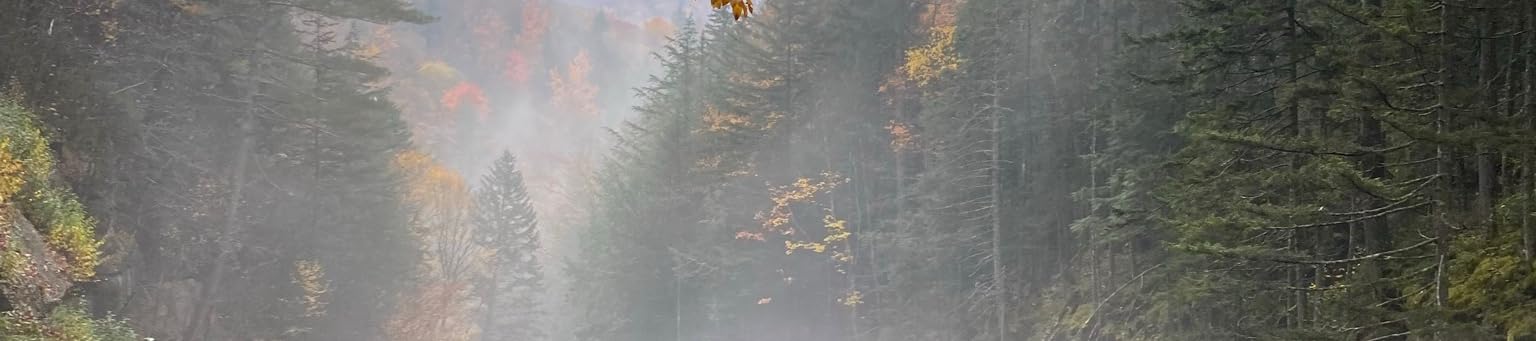 Marisa Lyn's Amazon Page