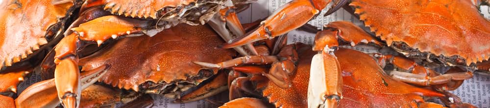 Mr. Pinchy Annapolis's Amazon Page