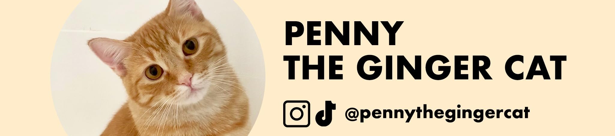 Penny & Felix’s Favorite Things's Amazon Page