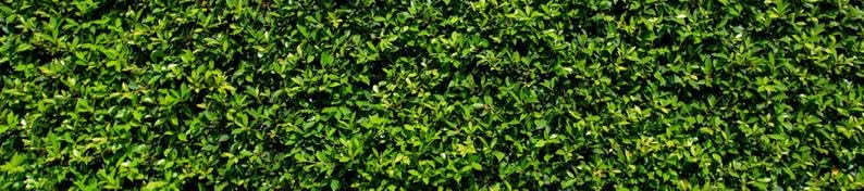 Michelle Saulters's Amazon Page