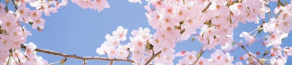 AshlySchwan's Amazon Page