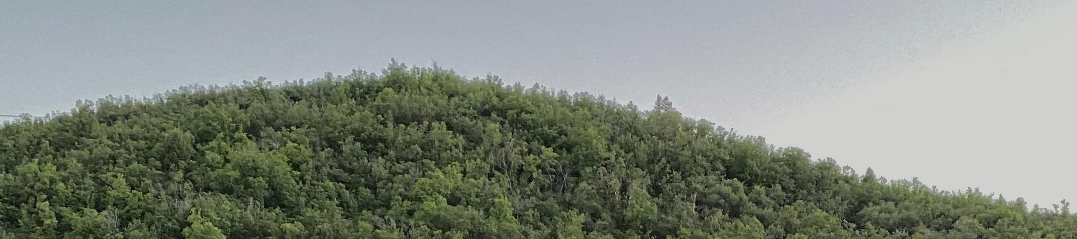 Aubrie's Amazon Favs's Amazon Page