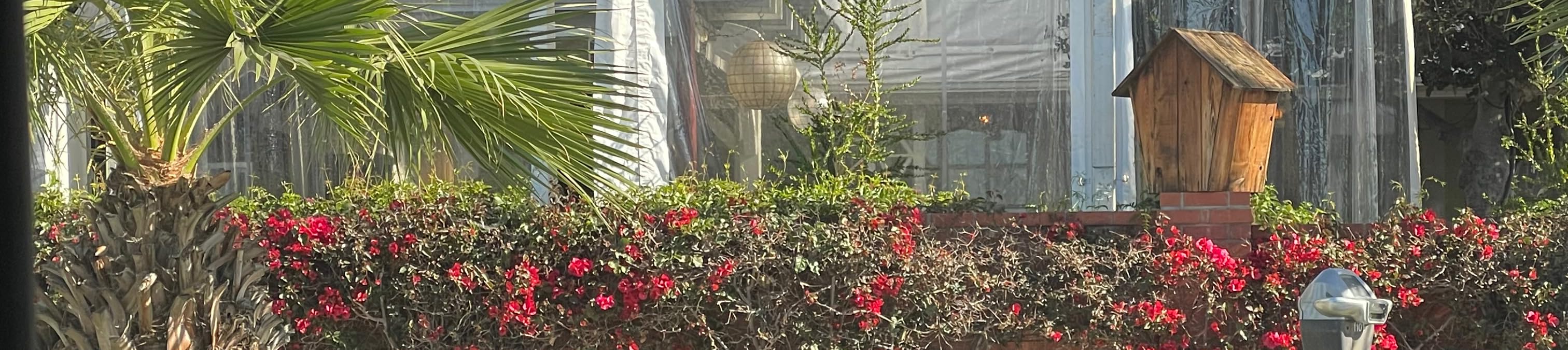 Lucy Hubbard🤍's Amazon Page