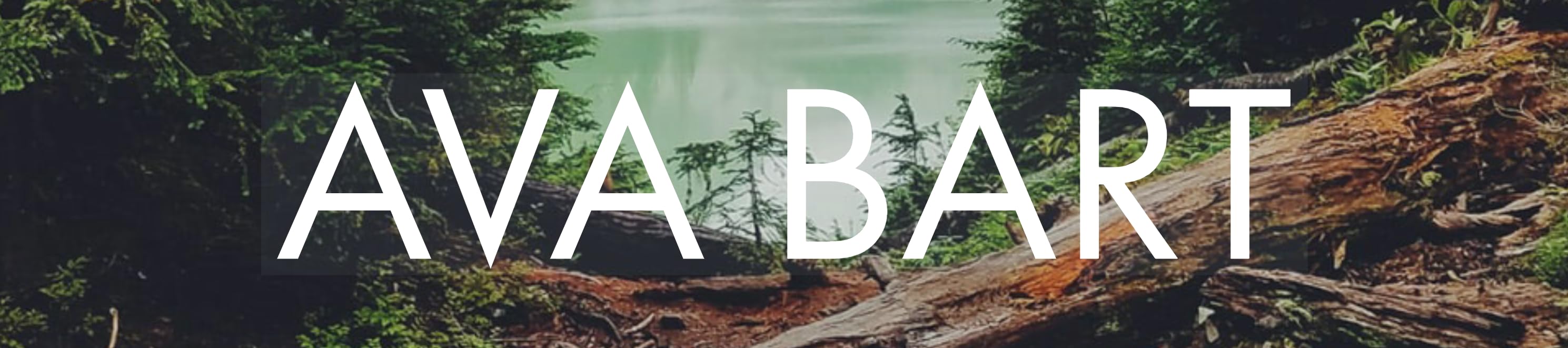 Ava Bart's Amazon Page