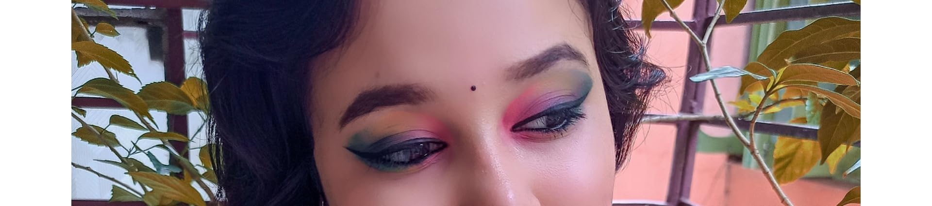 Sohini Ghosh's Amazon Page