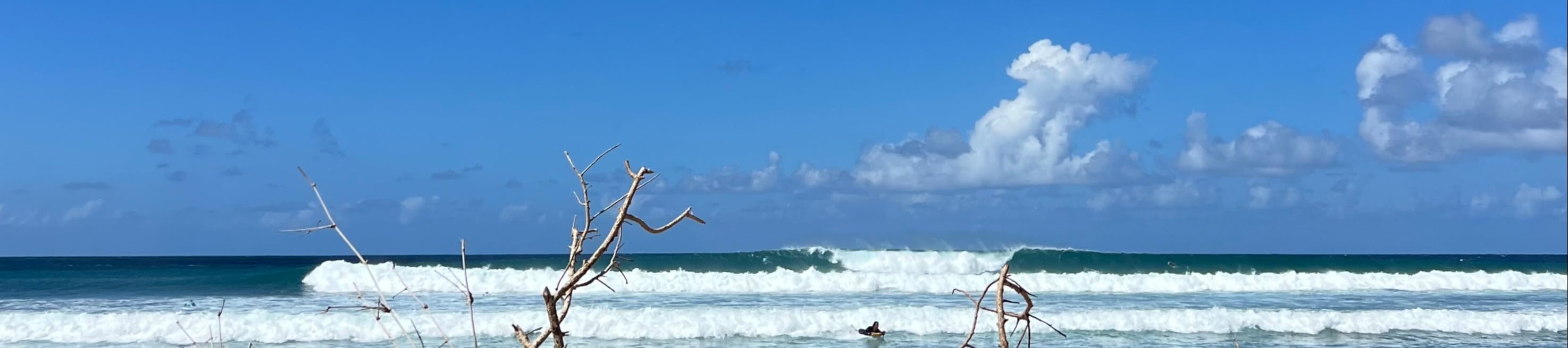 Karson Lewis's Amazon Page